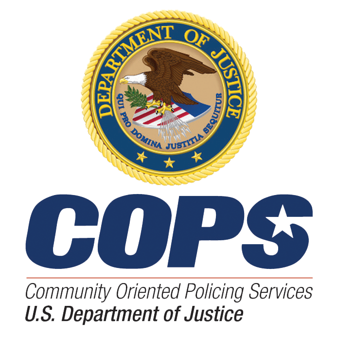 Collecting, Analyzing and Responding to Stop Data — The Policing Project