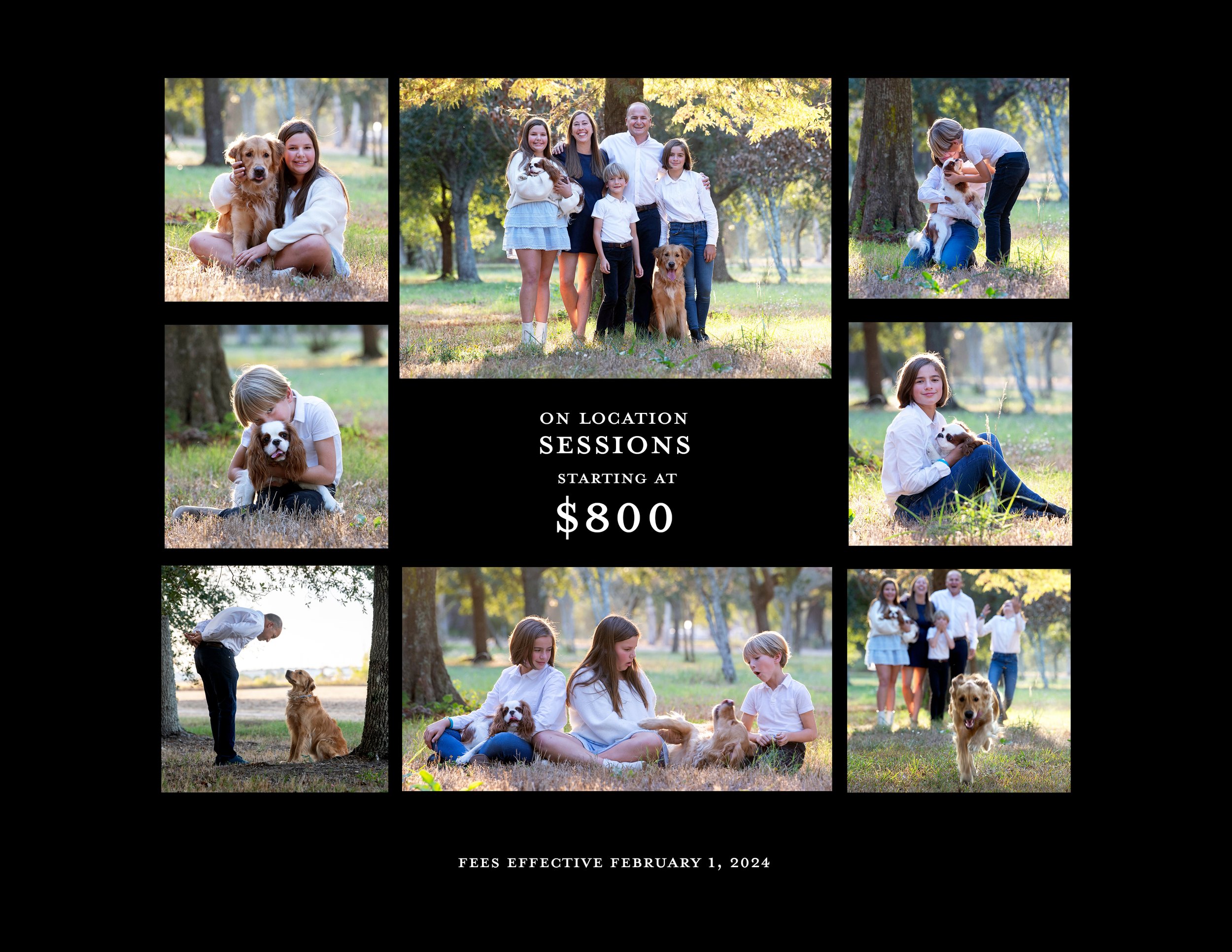 sitting fees — Jeannie Frey Rhodes