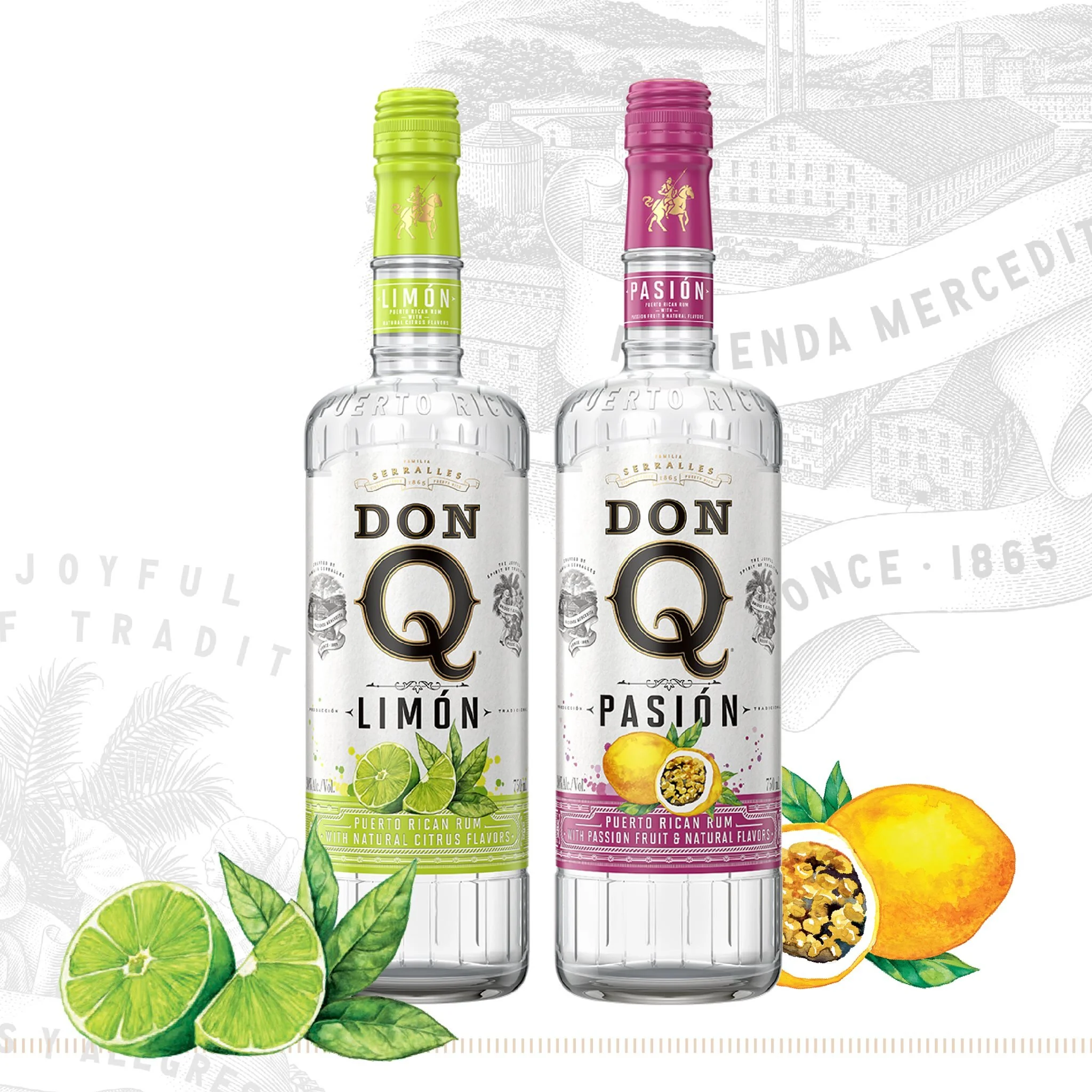 Don Q celebra nueva imagen — Sol Borincano