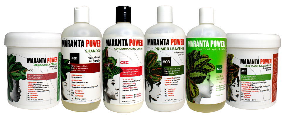 Maranta Power celebra sus 5 años de transformar mujeres y hombres que ...