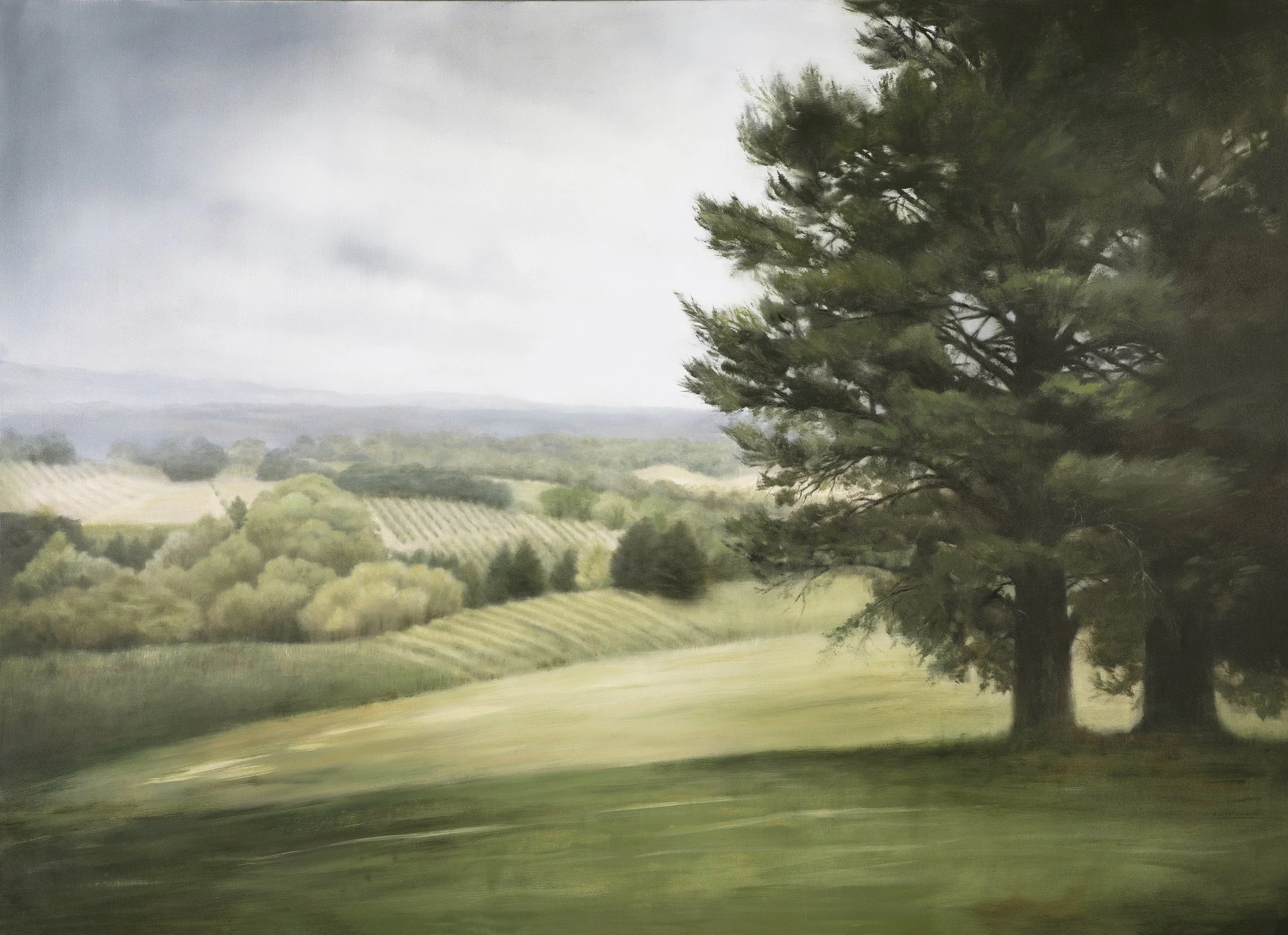 Romany Mollison Art