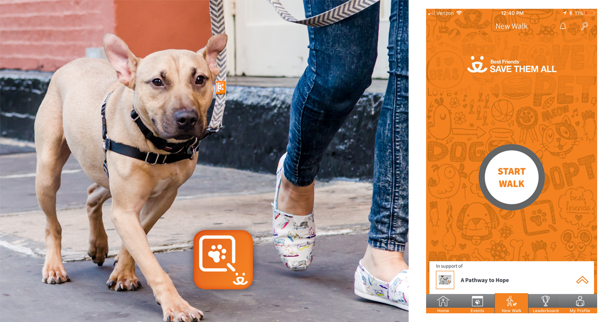 Support PACC Pets — Friends of Pima Animal Care Center