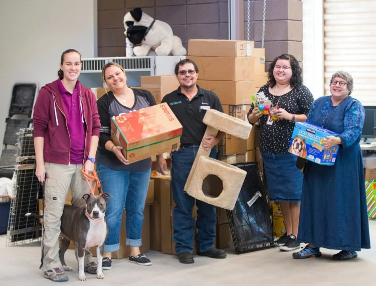 Support Pacc Pets Friends Of Pima Animal Care Center