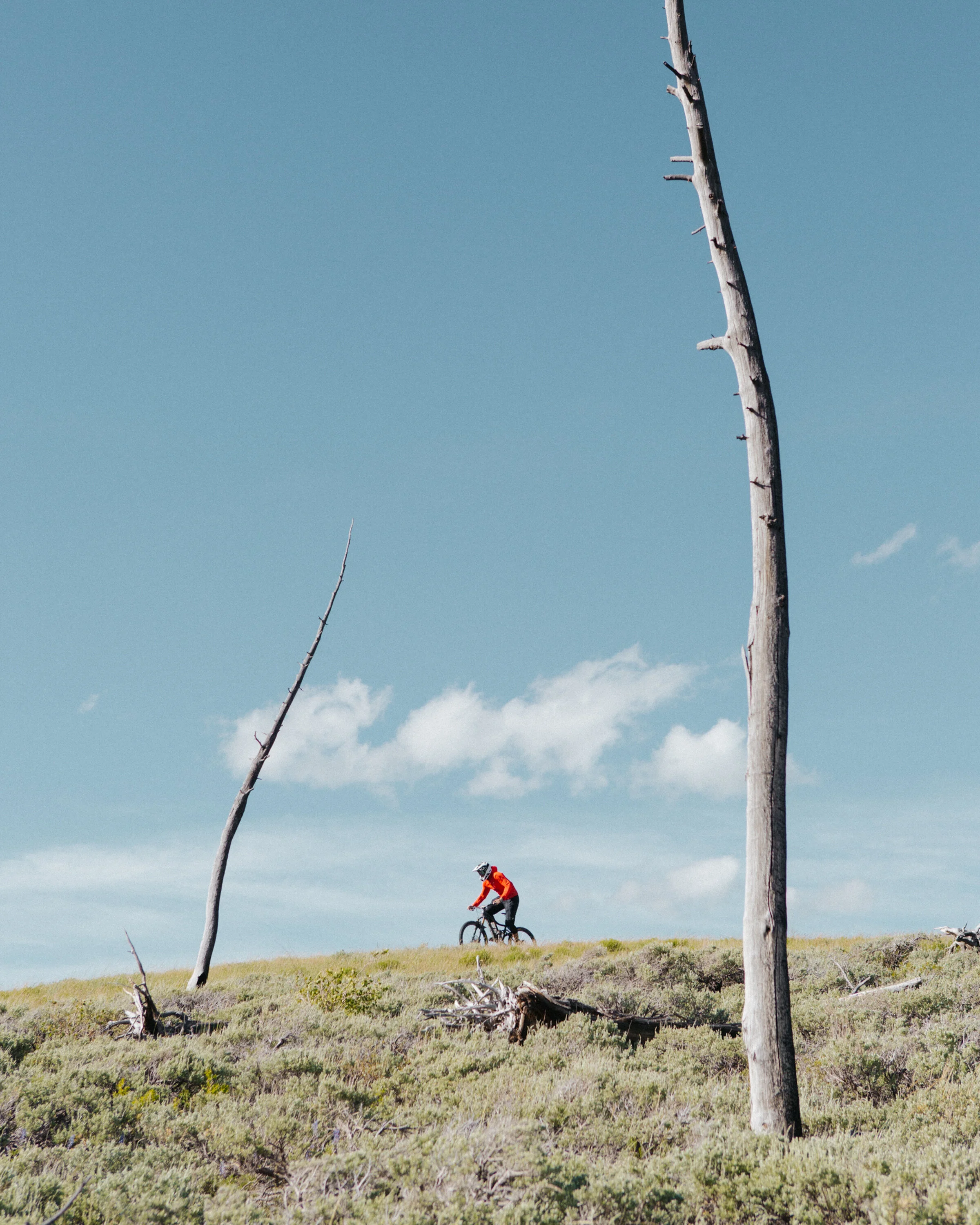 Zach Suggs — Photographs