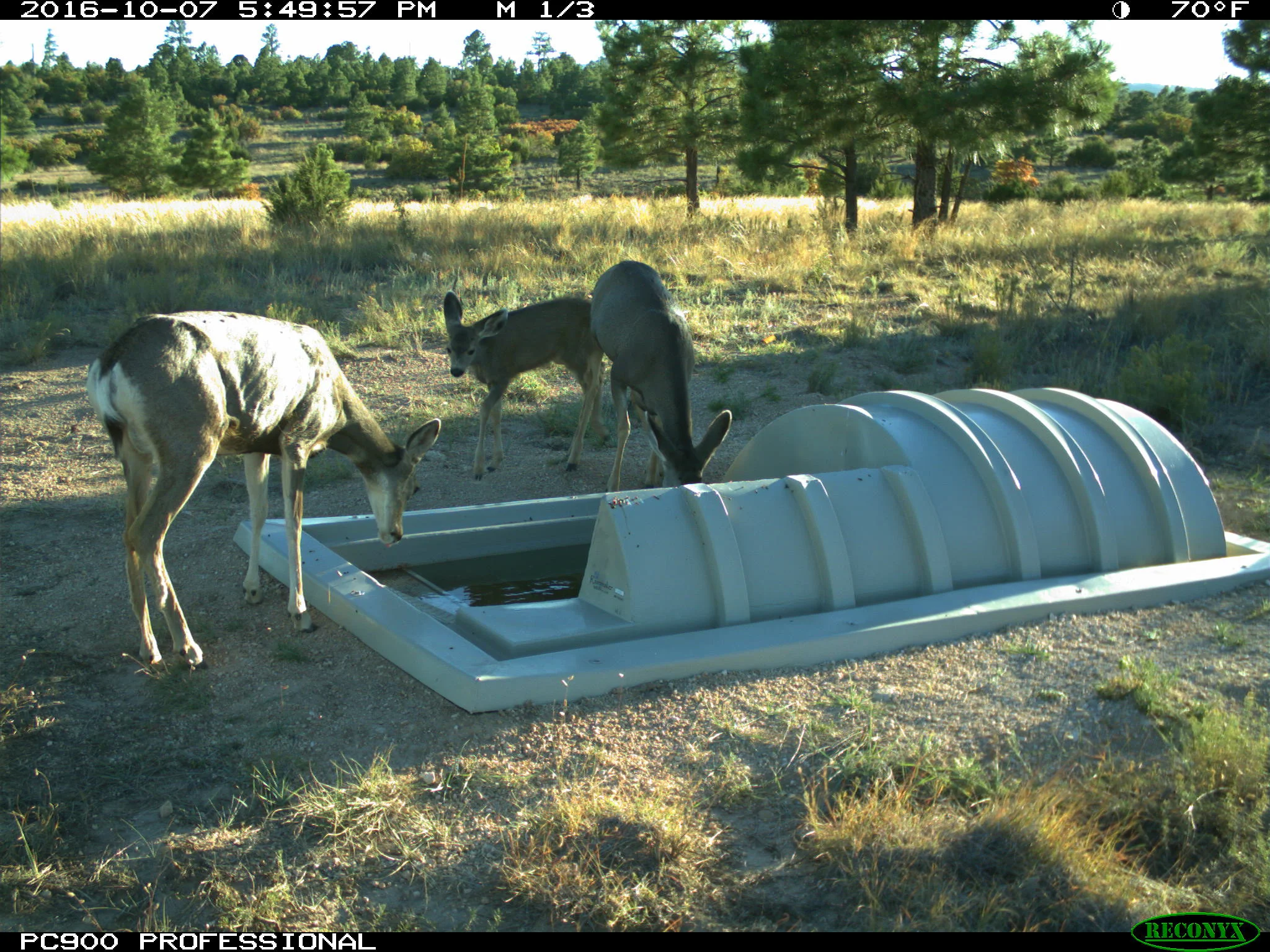 Rainmaker Wildlife Products