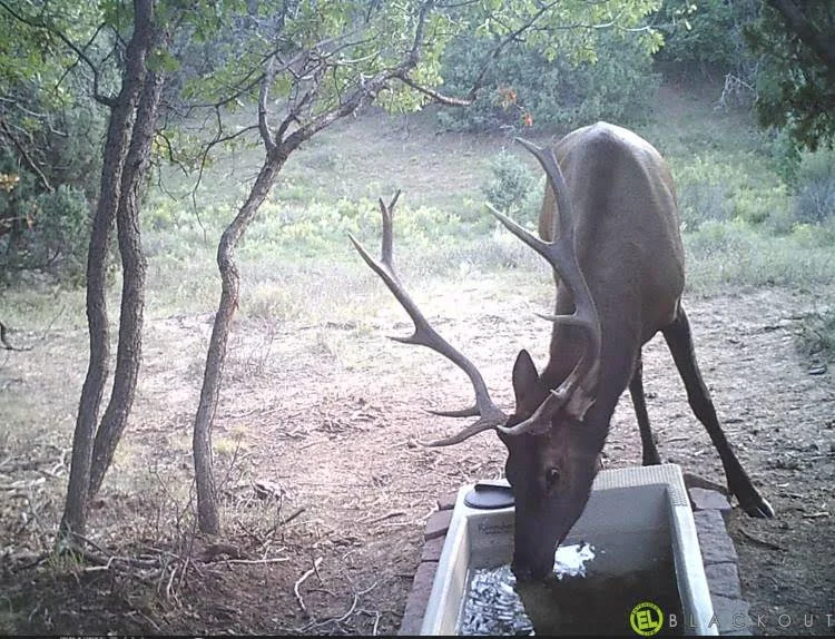 Rainmaker Drinker 110 – Wildlife Water Guzzler System — Rainmaker ...