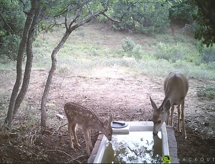 Rainmaker Drinker 110 – Wildlife Water Guzzler System — Rainmaker ...