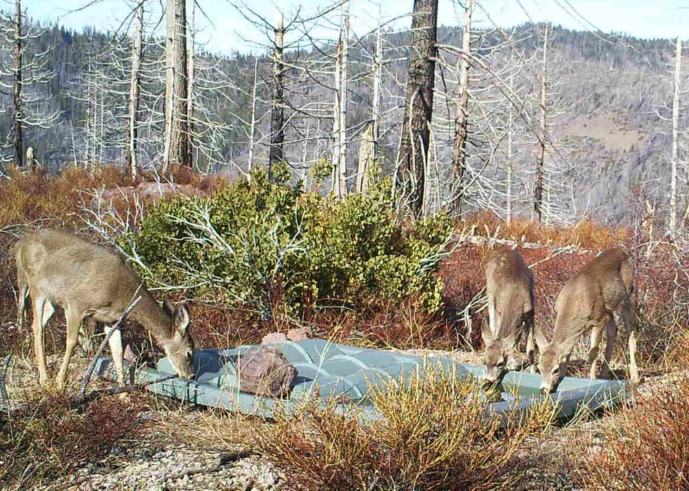 Guzzlers | Wildlife Guzzlers for Reliable Watering — Rainmaker Wildlife ...
