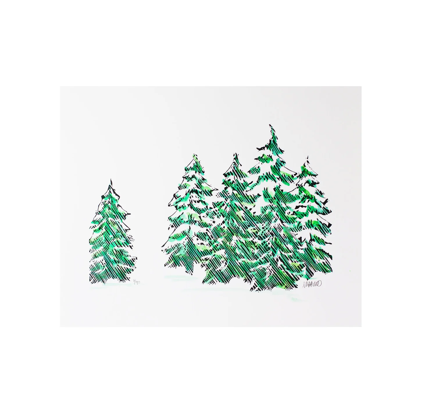 Winter Pine Trees Drawing