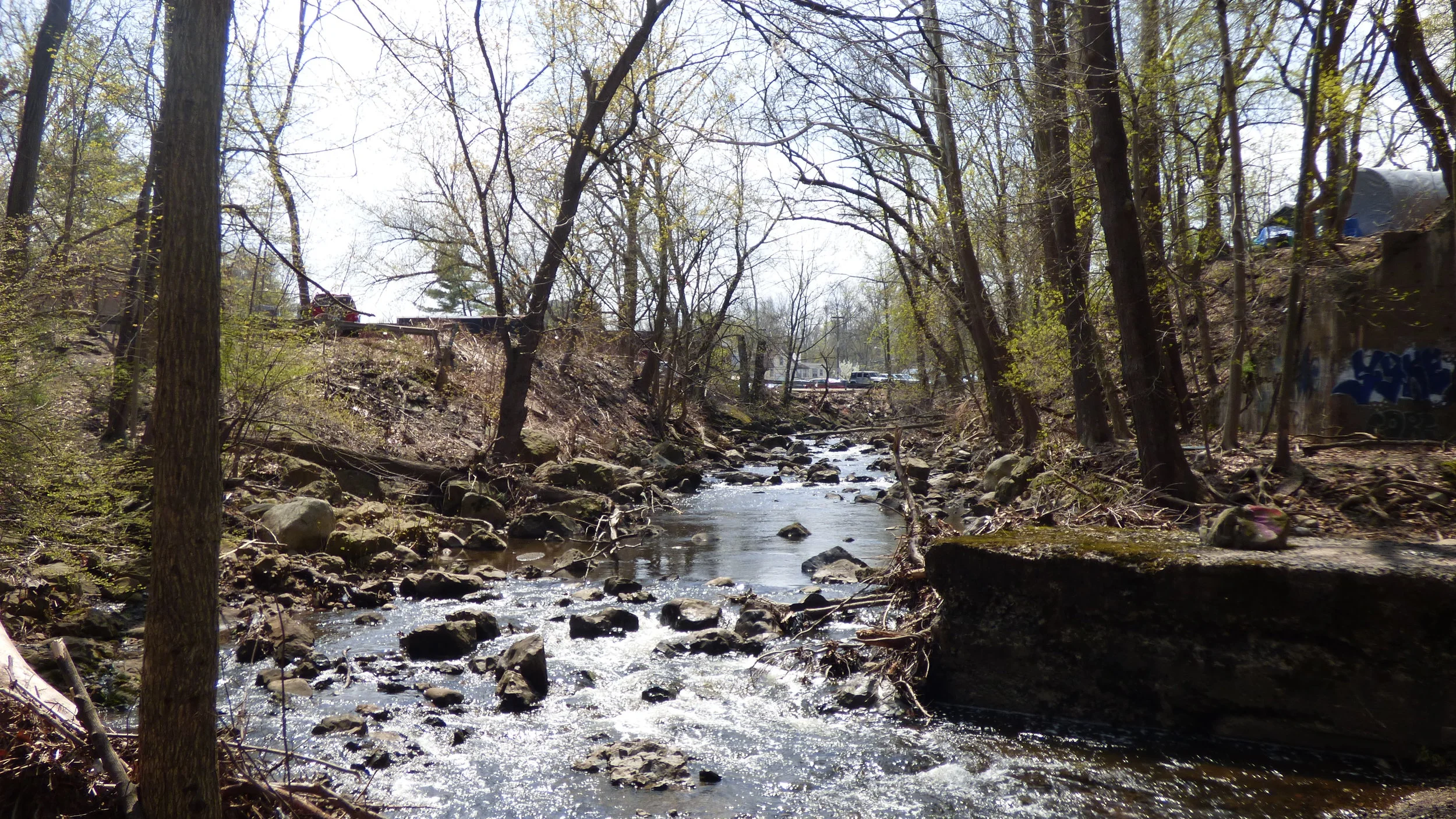 Riverquest I: The Mighty Peckman — Chris Ehrich