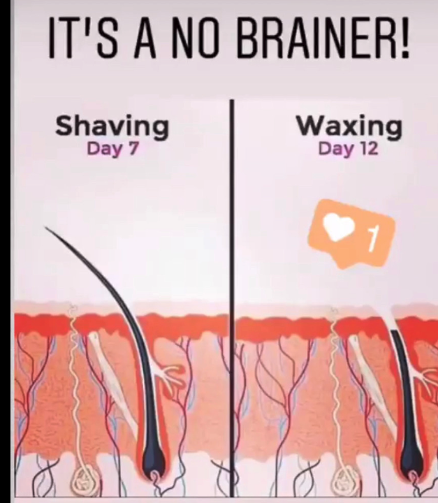 Waxing Vs Shaving — Body And Brow Boutique