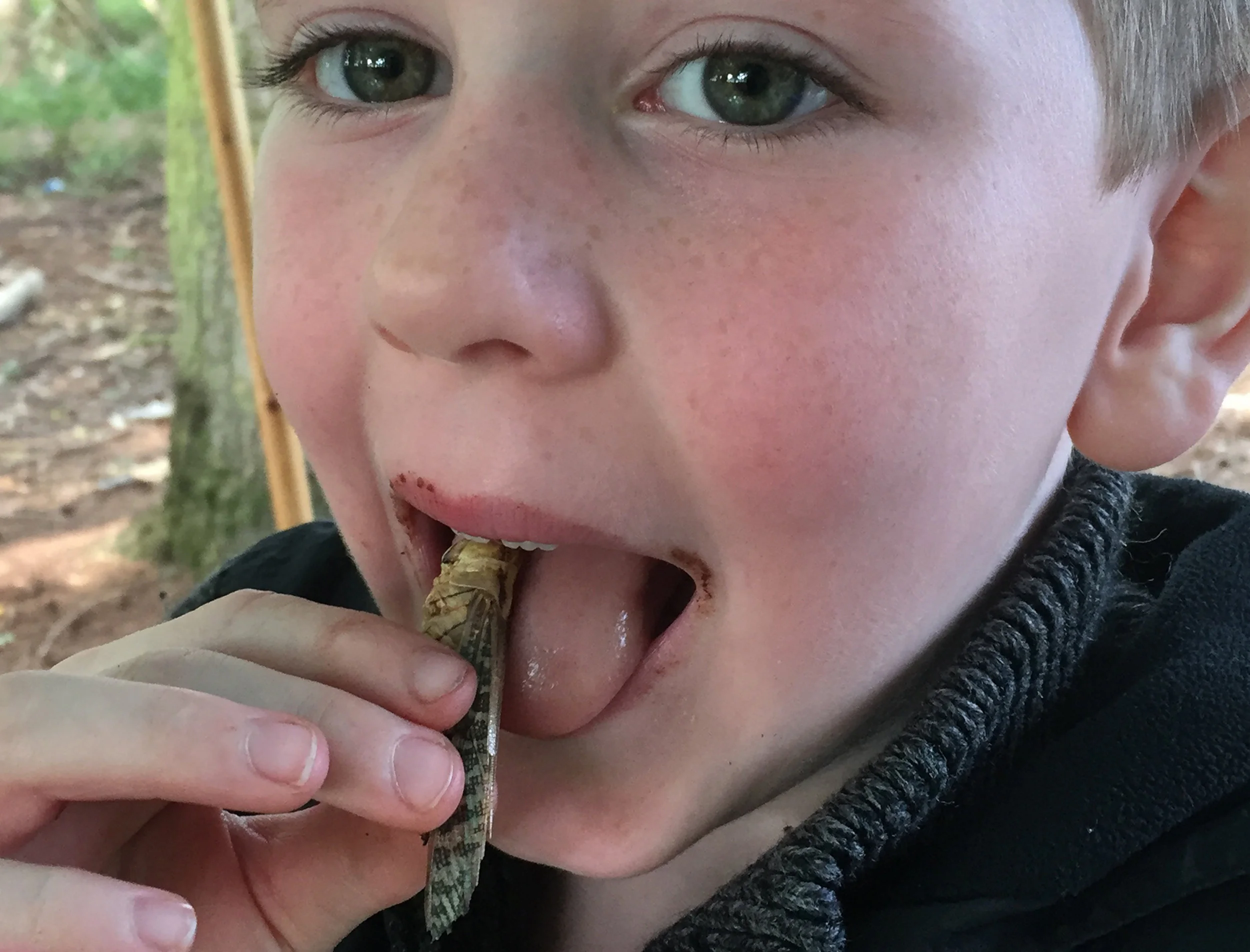 The Outdoors People — Bushcraft Events