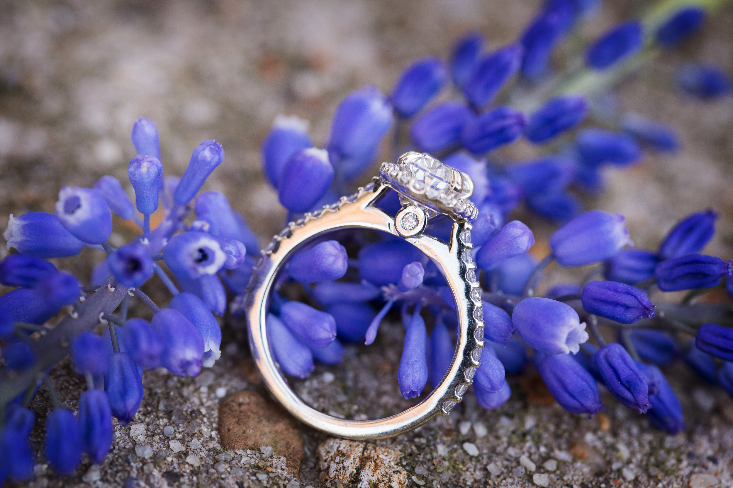 Purple Wedding Rings Background