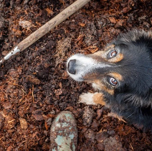 The Railway Inn Botley - Pub & Restaurant - Home Delivery - Southampton