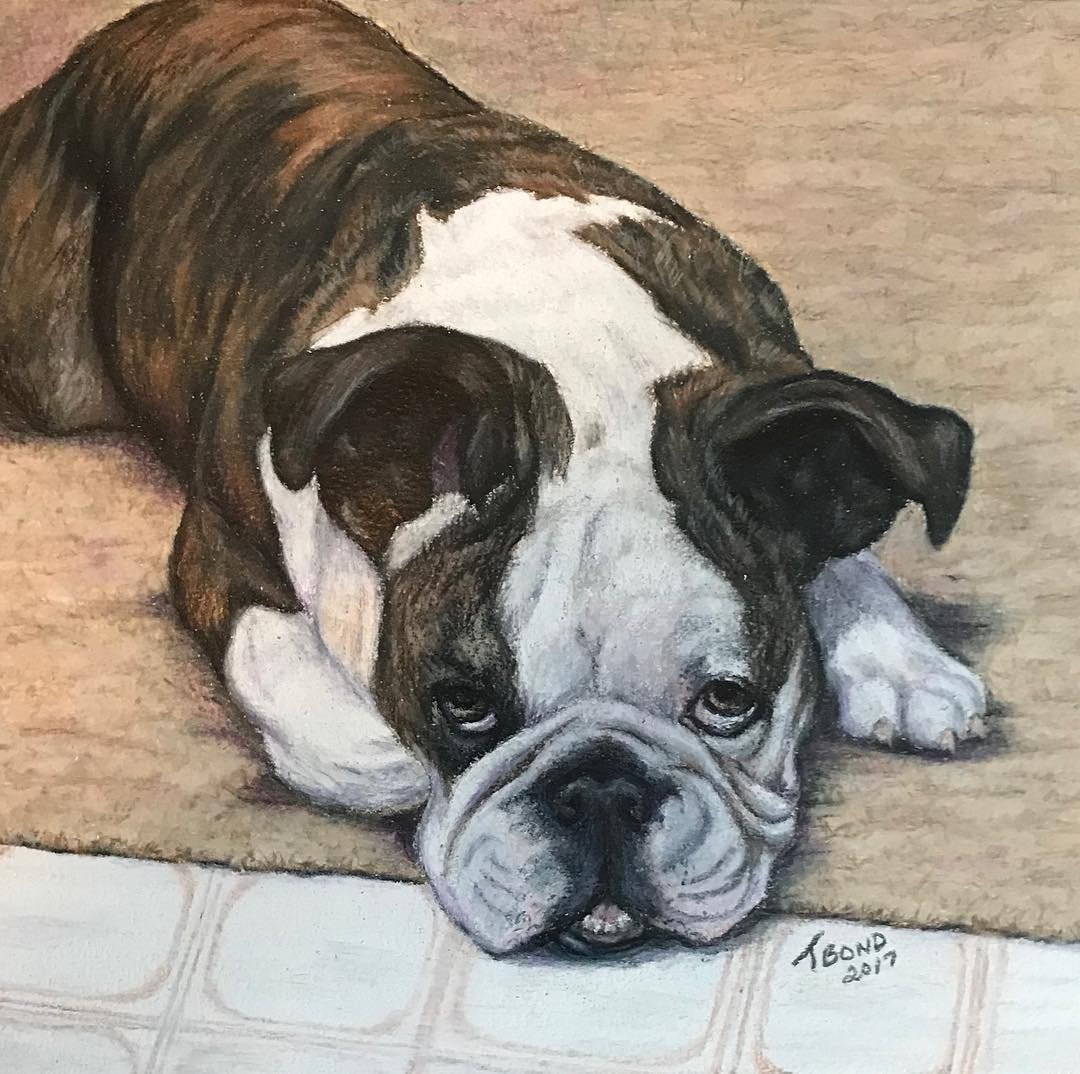 Travis Bond, Oh Bully — Columbia Art League