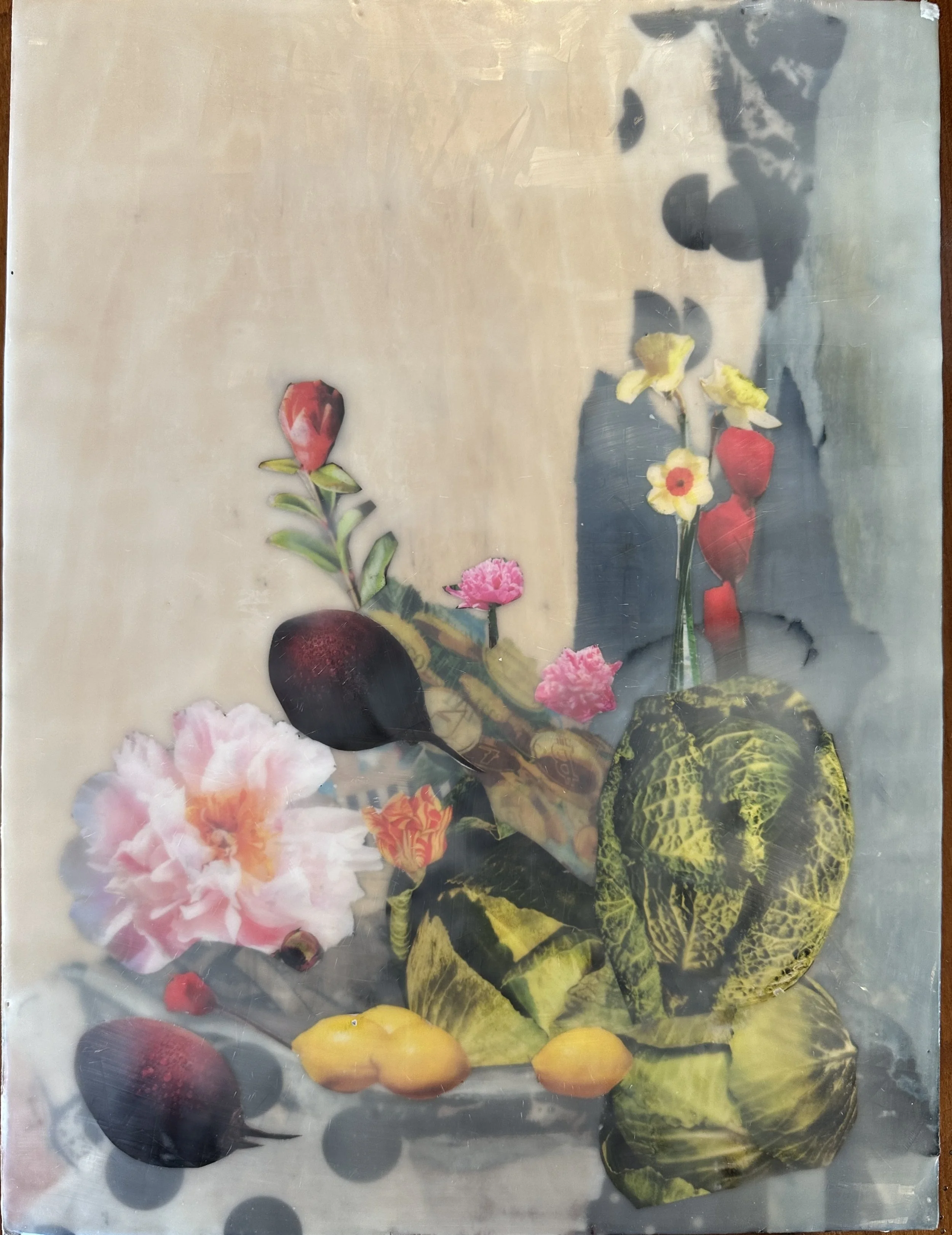 Pamela Gainor Fruit Of The Earth — Columbia Art League