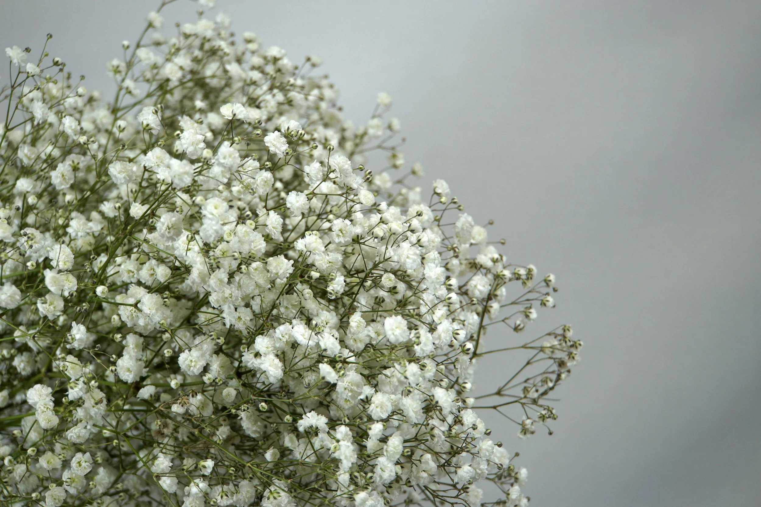 FLOWERS — Riverside Florist