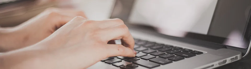 Our Work — South Carolina WMU