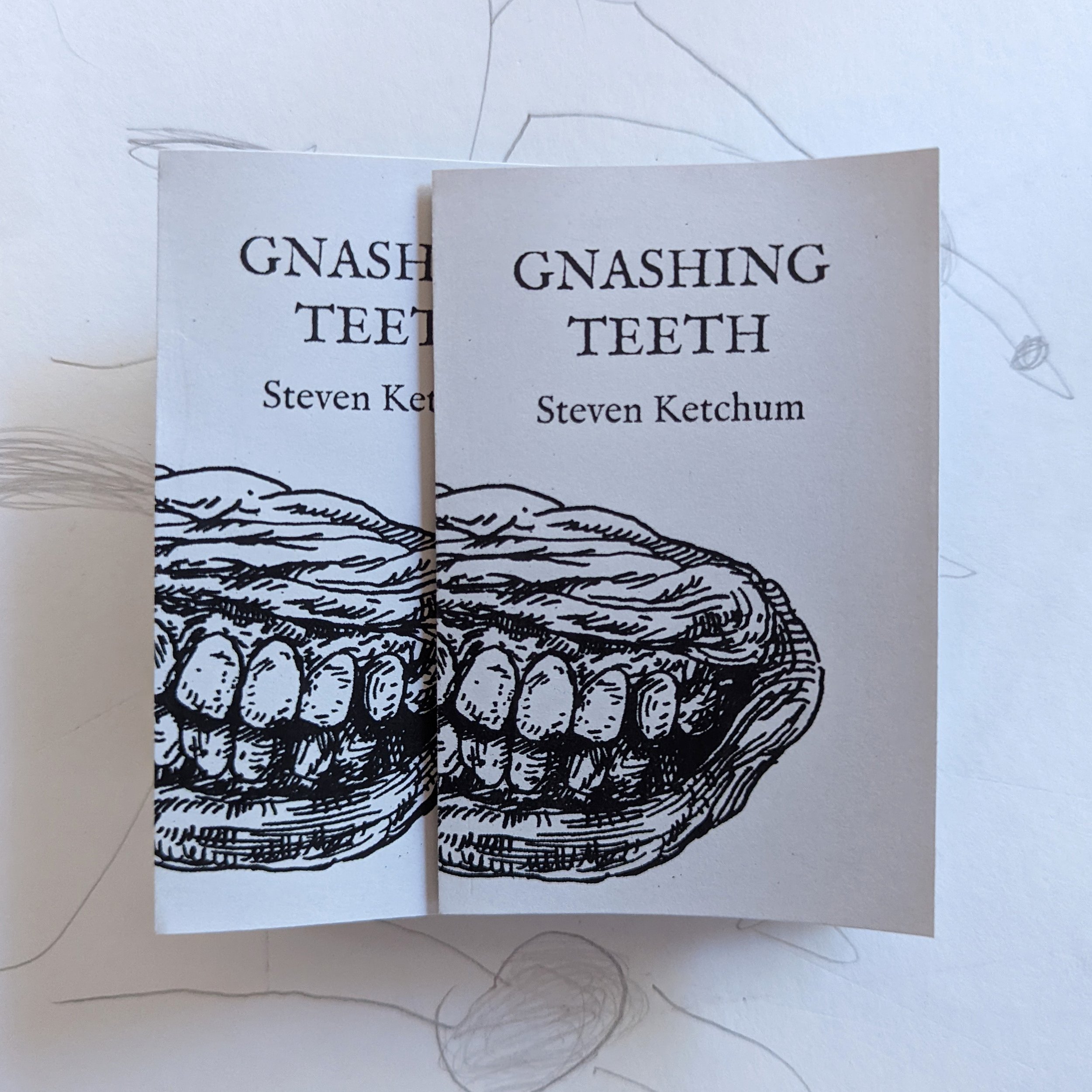 Gnashing Teeth Accordion Zine — Steven Ketchum Art