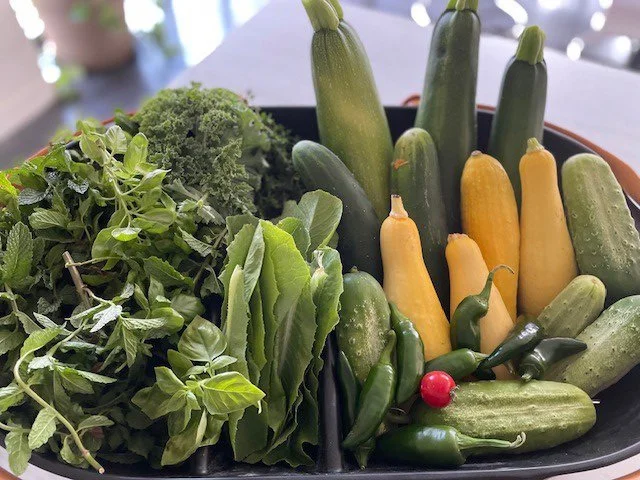 Center for Nutrition — Newsroom