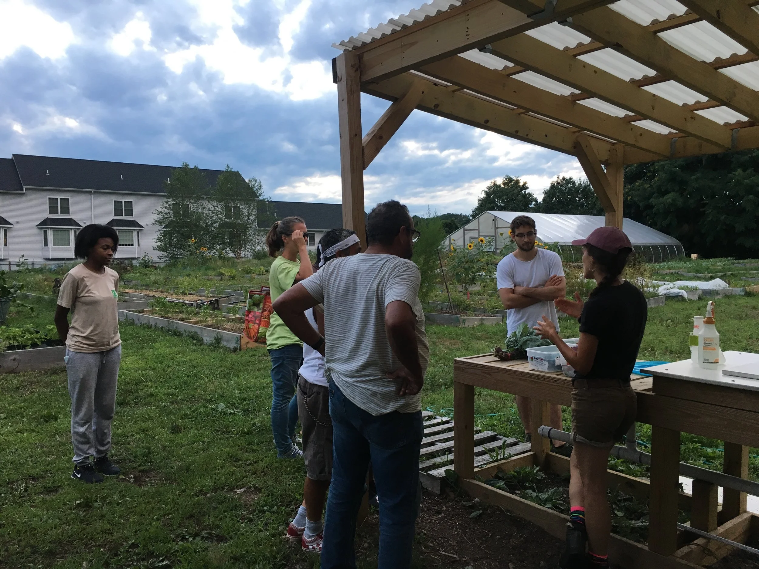 Urban Farming Training Program — Green Village Initiative