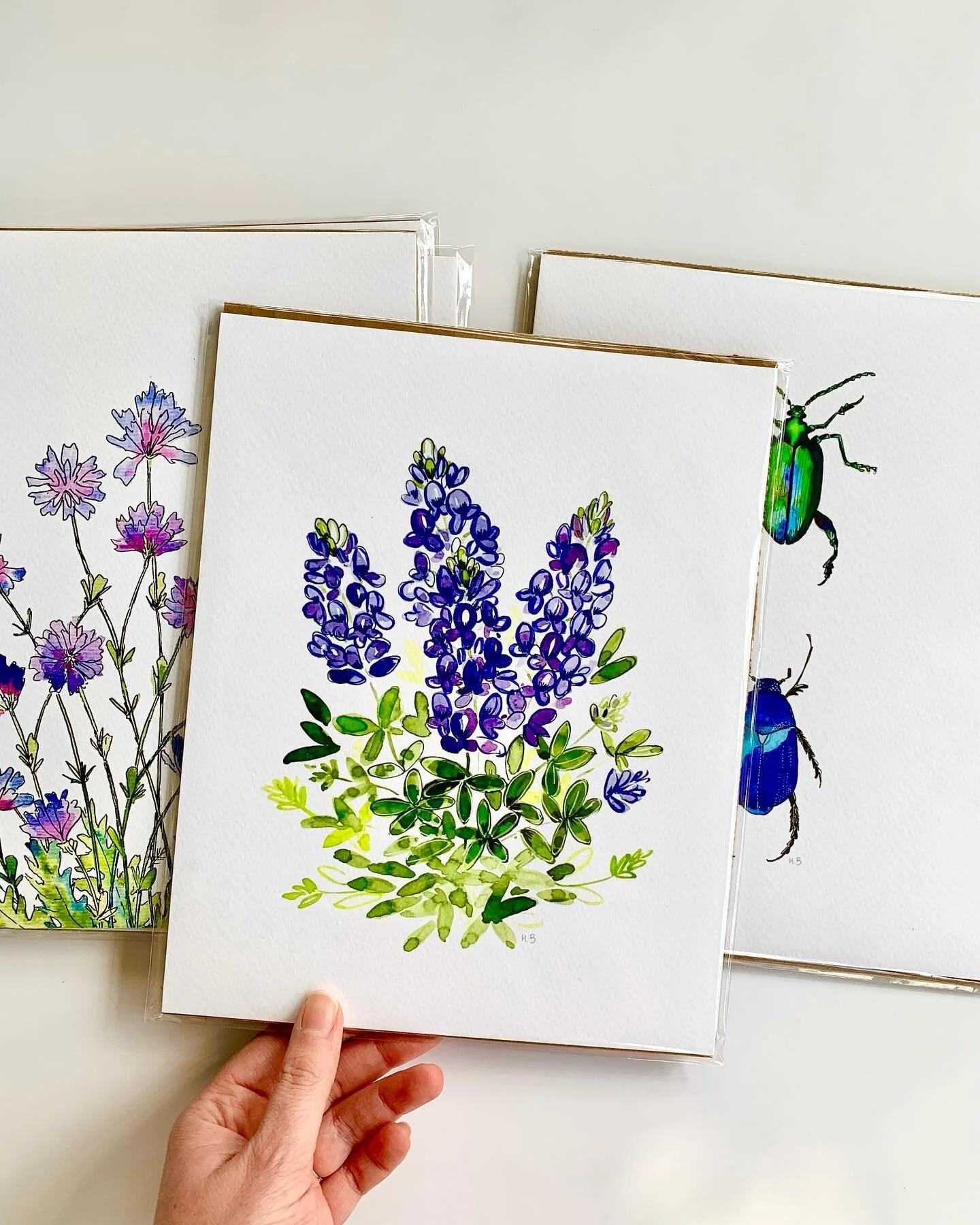 About — Heather Baird