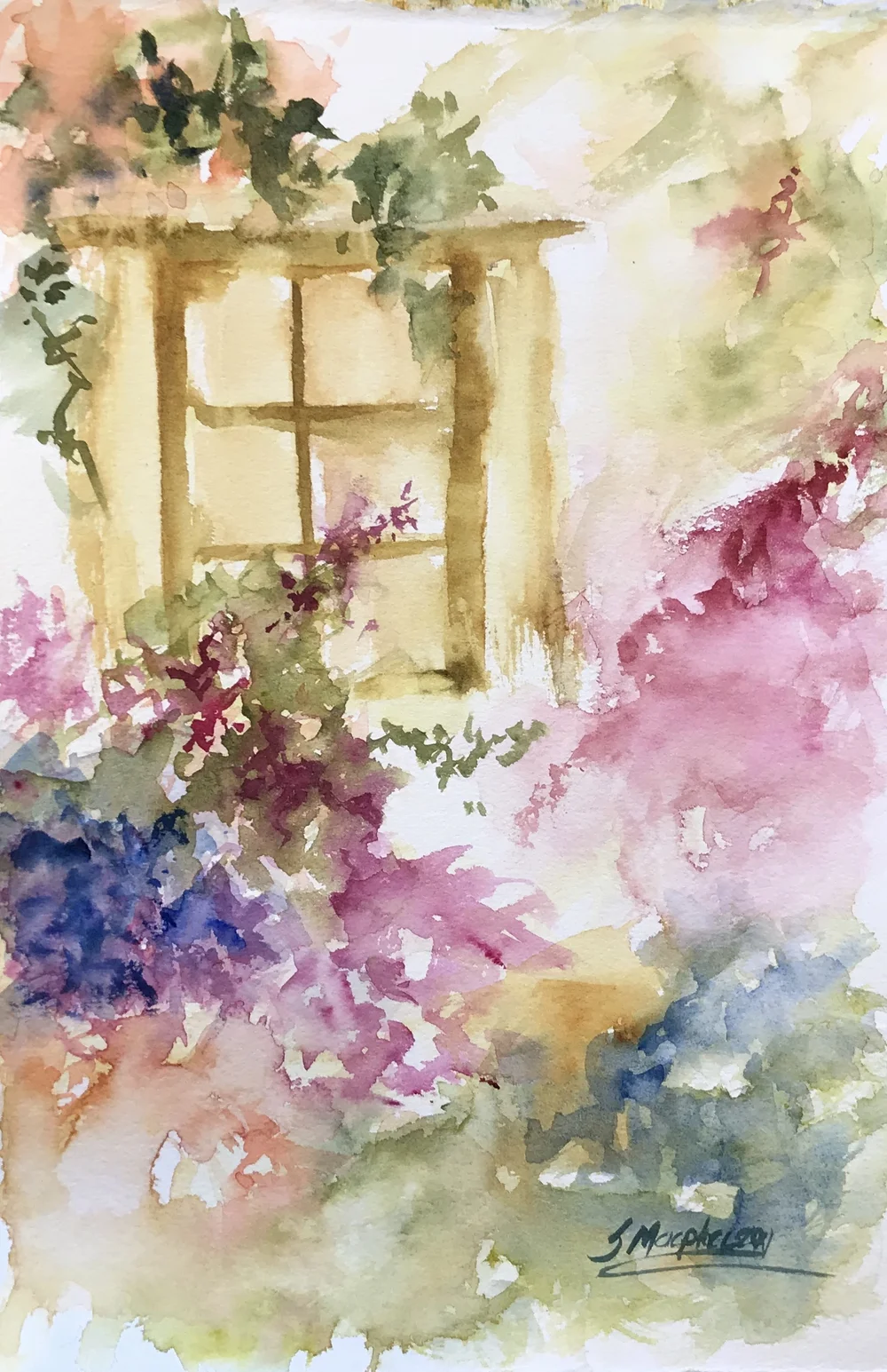 The Beauty of Window boxes — Shawn