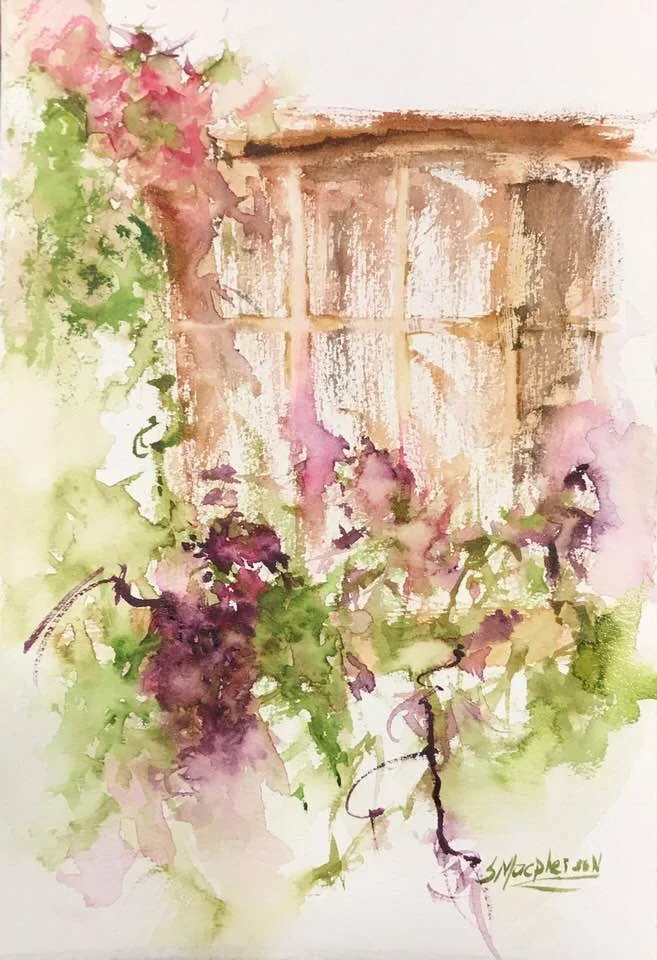 The Beauty of Window boxes — Shawn