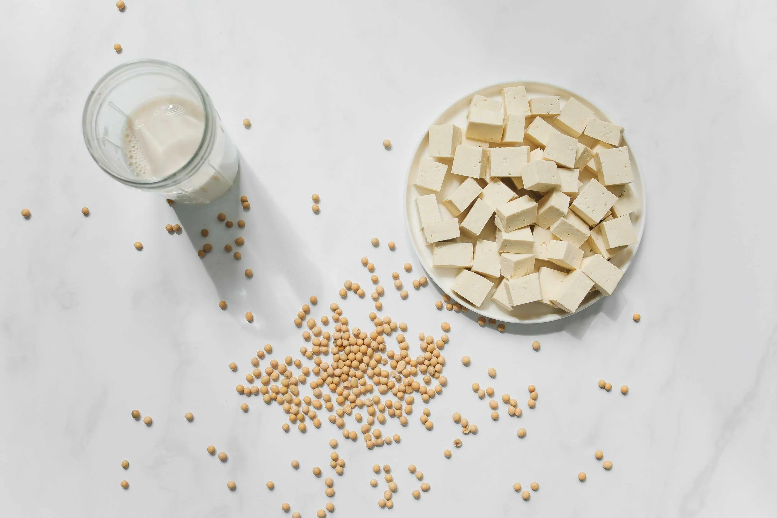 Non-Dairy Baby Formula: A Parent's Guide to Choose What's Best for Baby ...