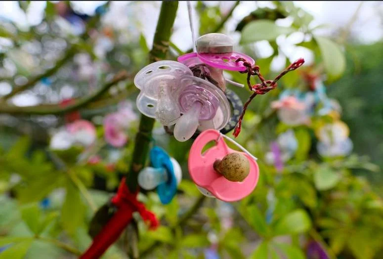 Bye Bye Binky, How to Get Rid of the Pacifier with No Tears and No ...