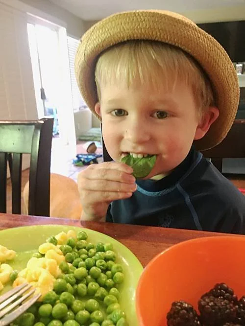How To Get Your Toddler To Try New Foods The DGAF Mom how-to-get-your-toddler-to-try-new-foods-the-dgaf-mom