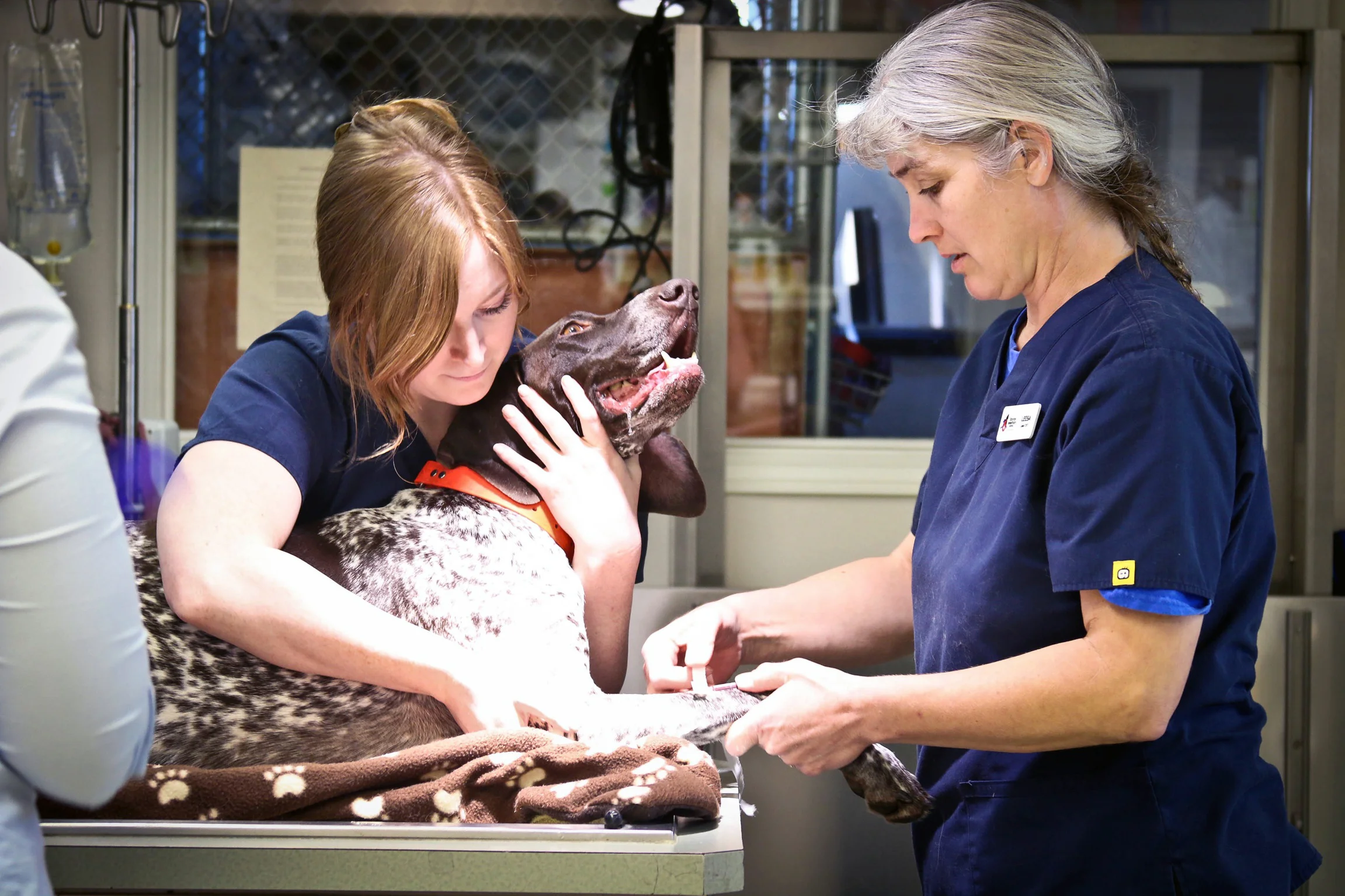 Care Team — Stayton Veterinary Hospital
