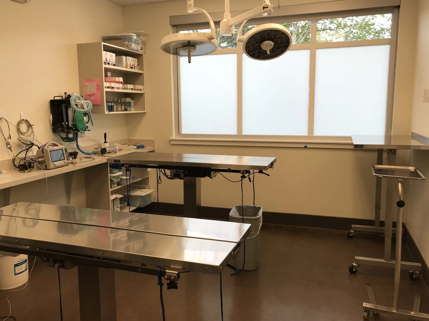 Our Facilities — Stayton Veterinary Hospital