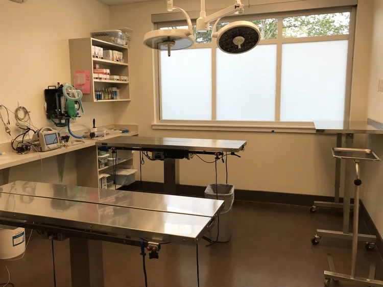 Our Facilities — Stayton Veterinary Hospital