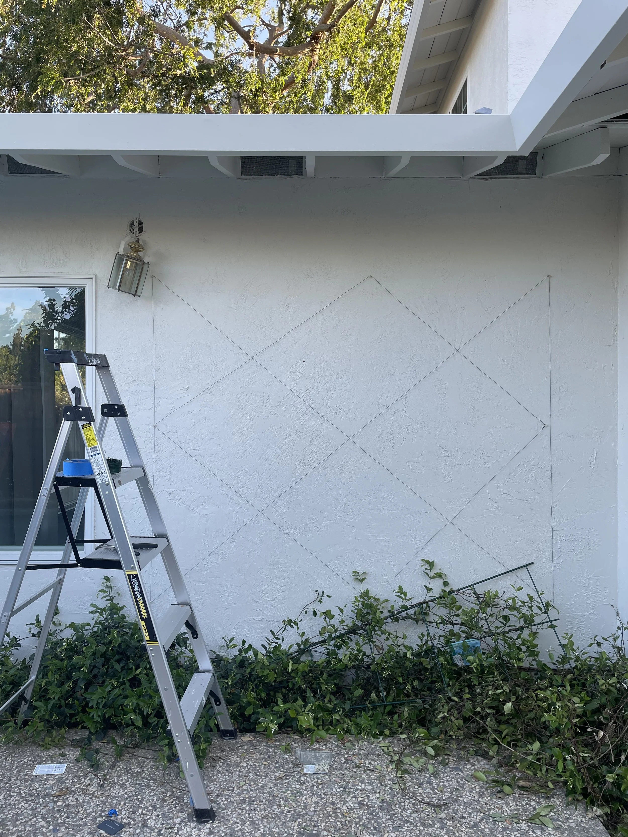 DIY Star Jasmine Trellis Wall — REBECCA & GENEVIEVE