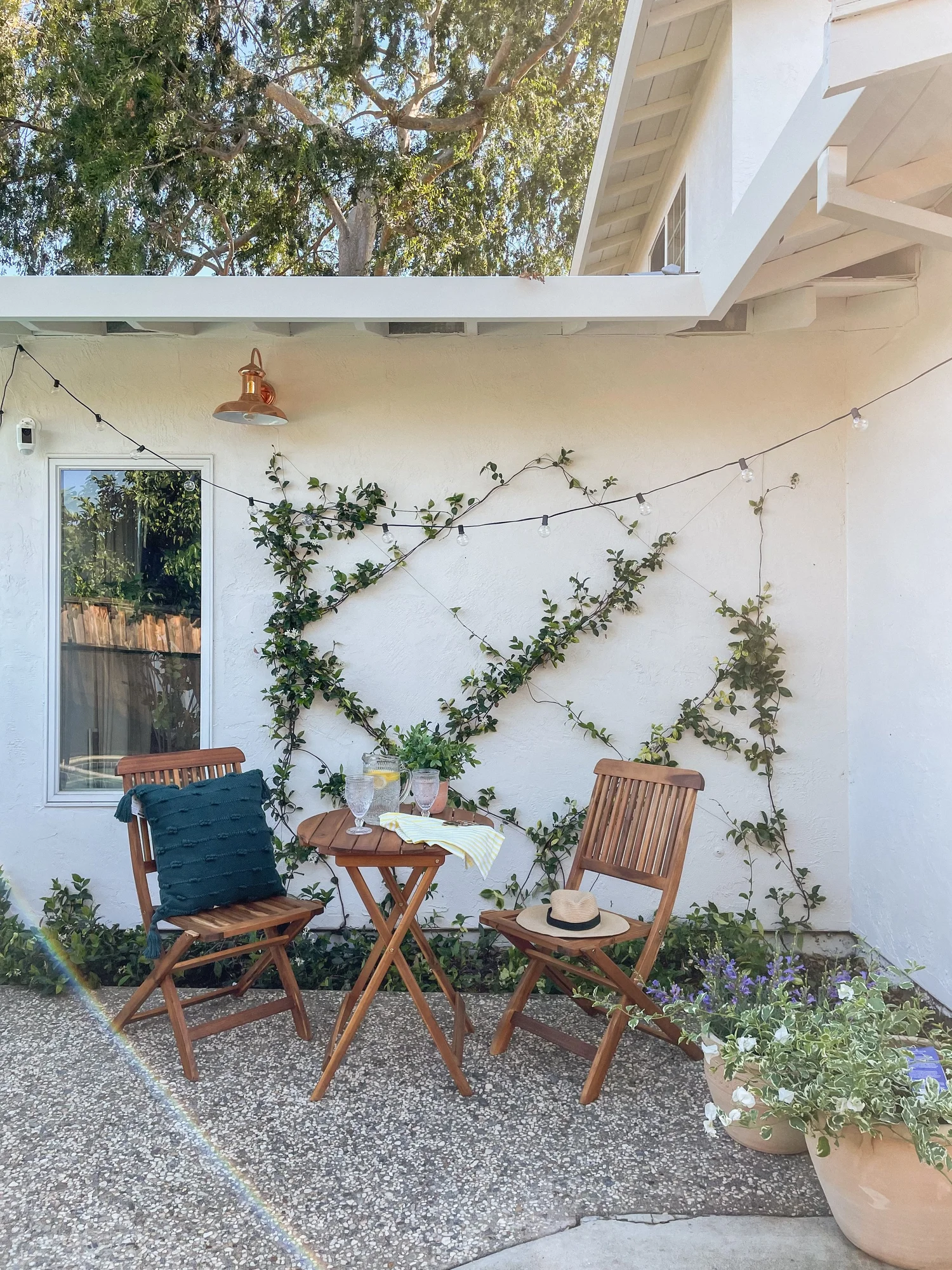 DIY Star Jasmine Trellis Wall — REBECCA & GENEVIEVE