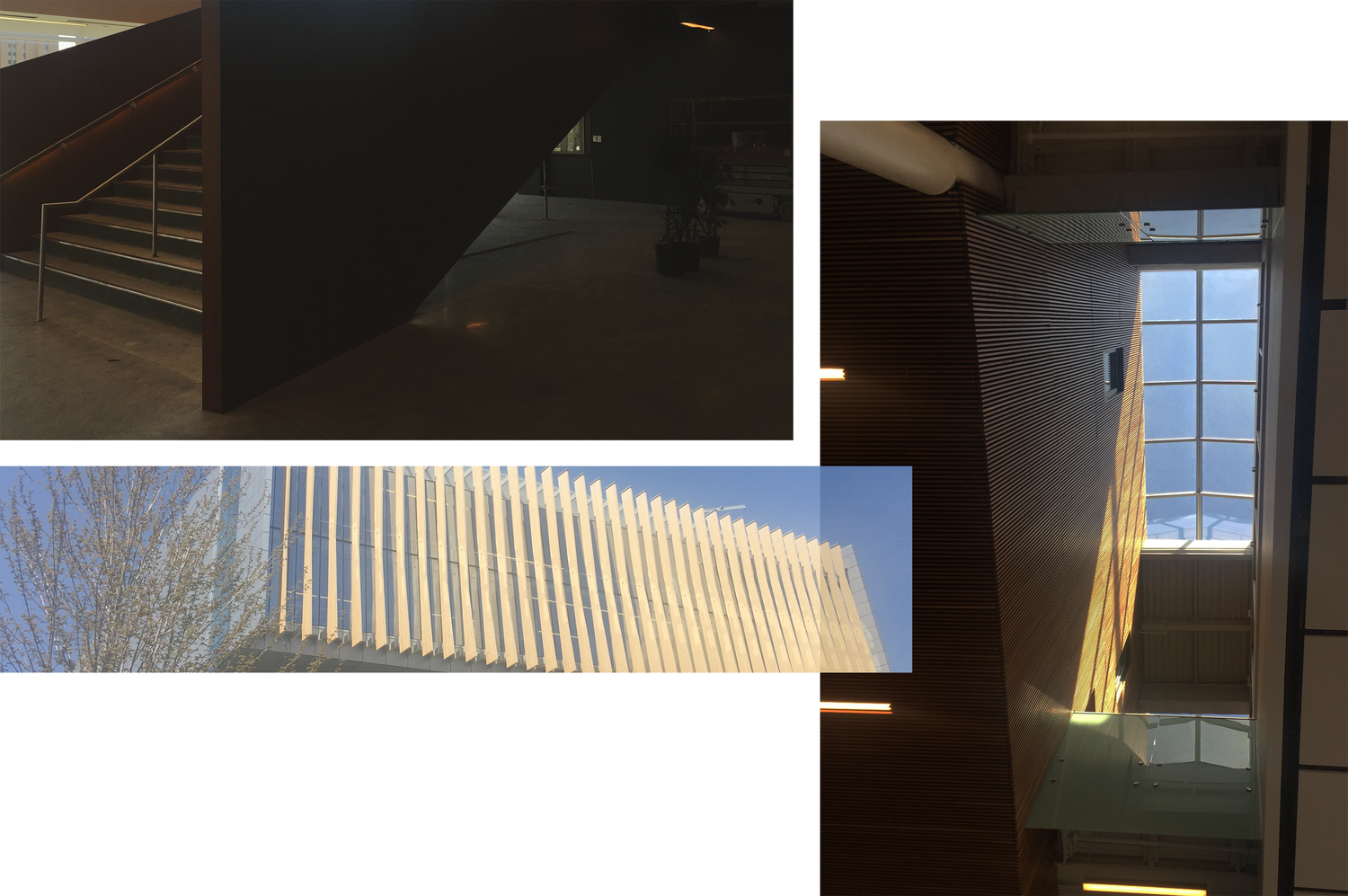 YORK UNIVERSITY NEW STUDENT CENTER — ANDREW KING