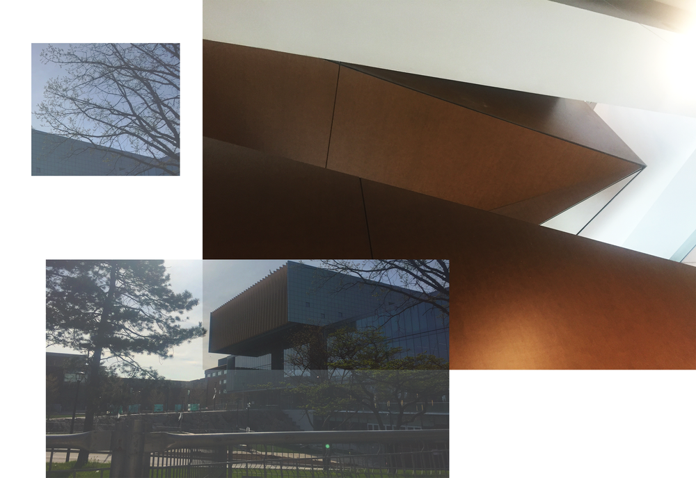 YORK UNIVERSITY NEW STUDENT CENTER — ANDREW KING