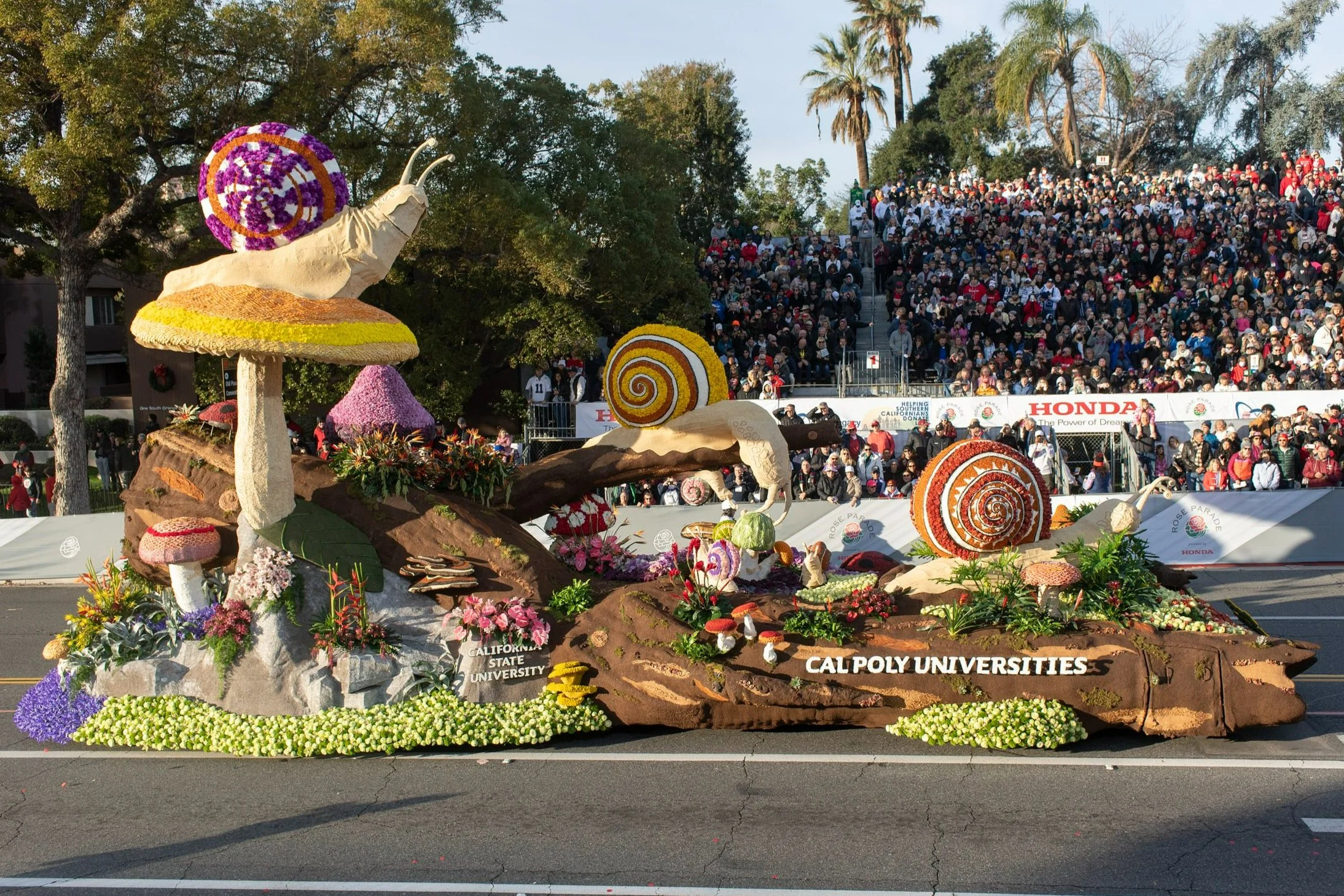 Rose Parade Floats