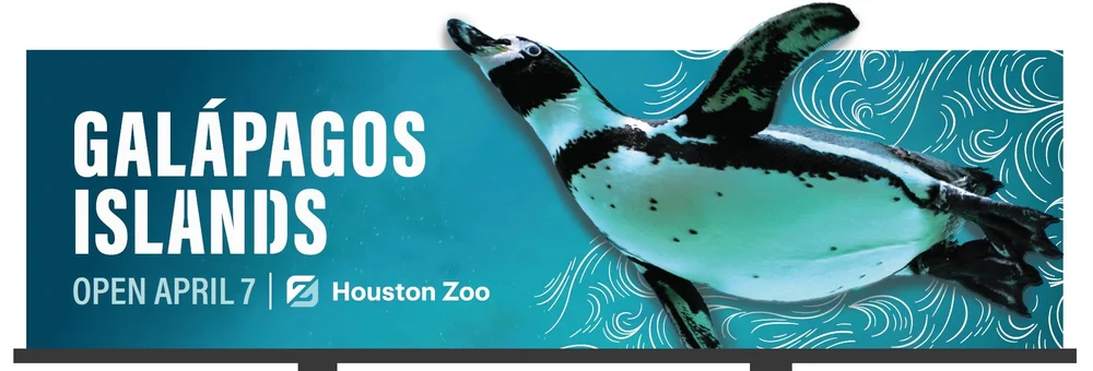 Houston Penguin — Soft Signs 3D - 3D Billboards - 3D Inflatable ...