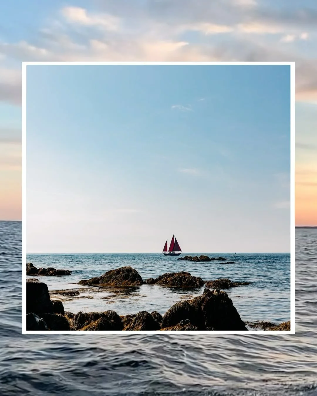 Newport Sea Salt Co.