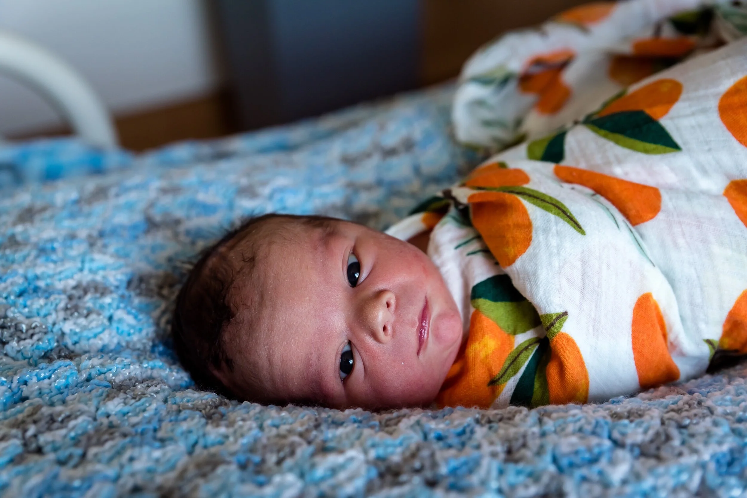 The Blog — Eden Kittiver