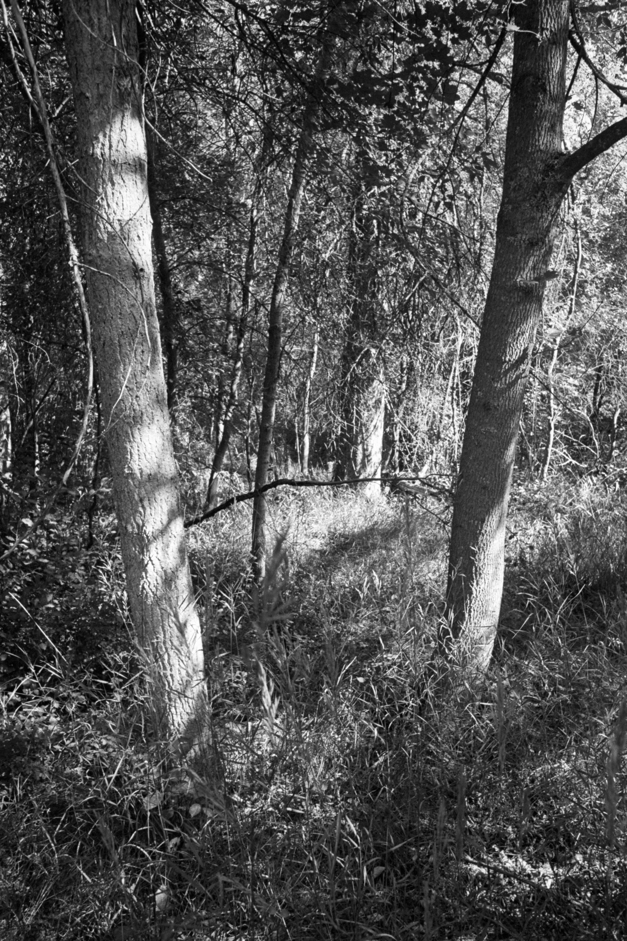 Reminiscence and reflection: summer walking and embracing 28mm ...