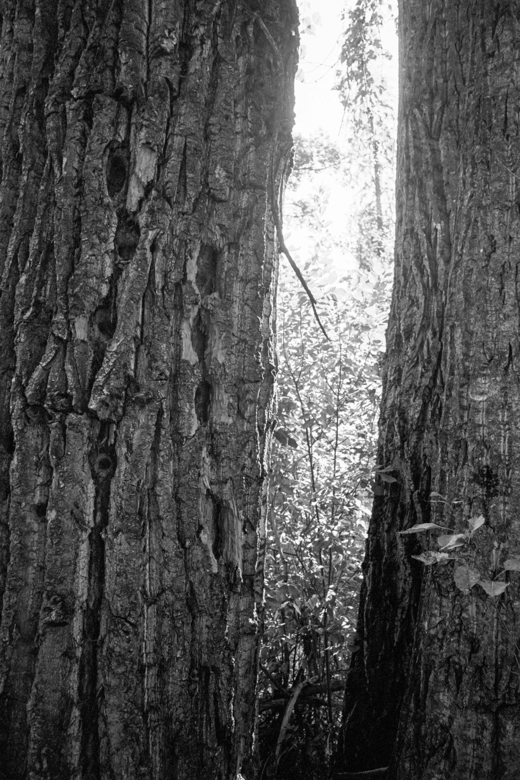 Reminiscence and reflection: summer walking and embracing 28mm ...