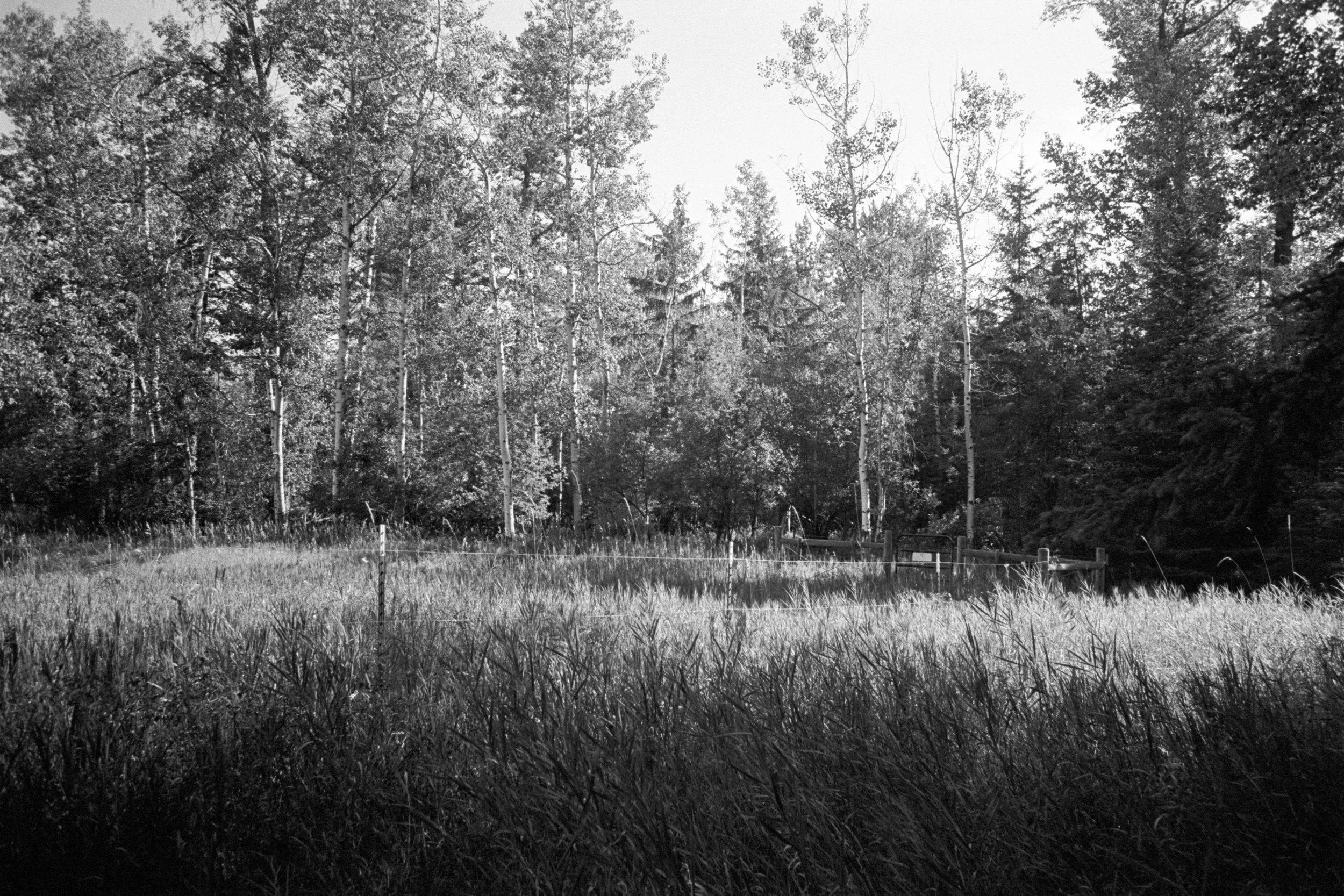 Reminiscence and reflection: summer walking and embracing 28mm ...