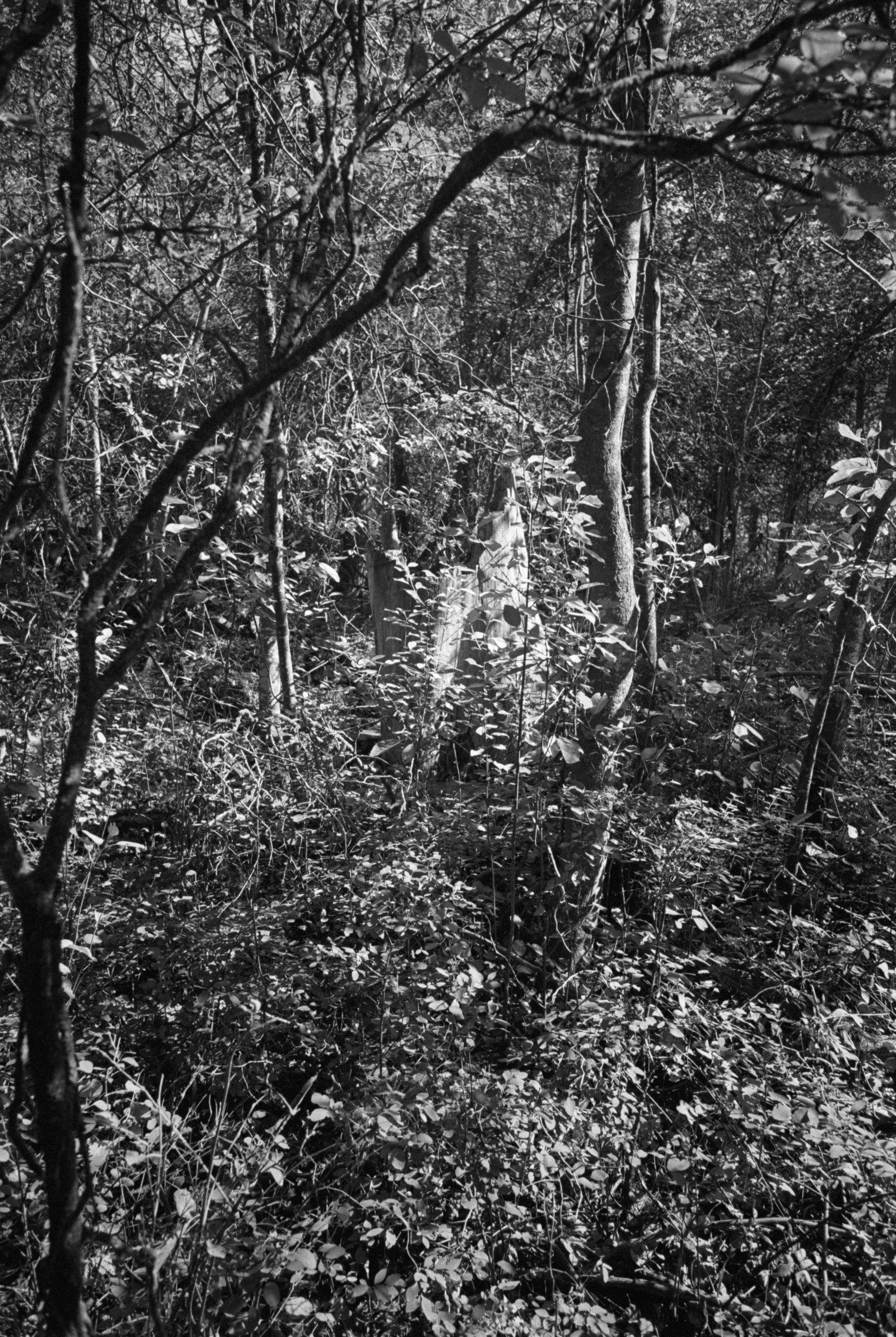 Reminiscence and reflection: summer walking and embracing 28mm ...