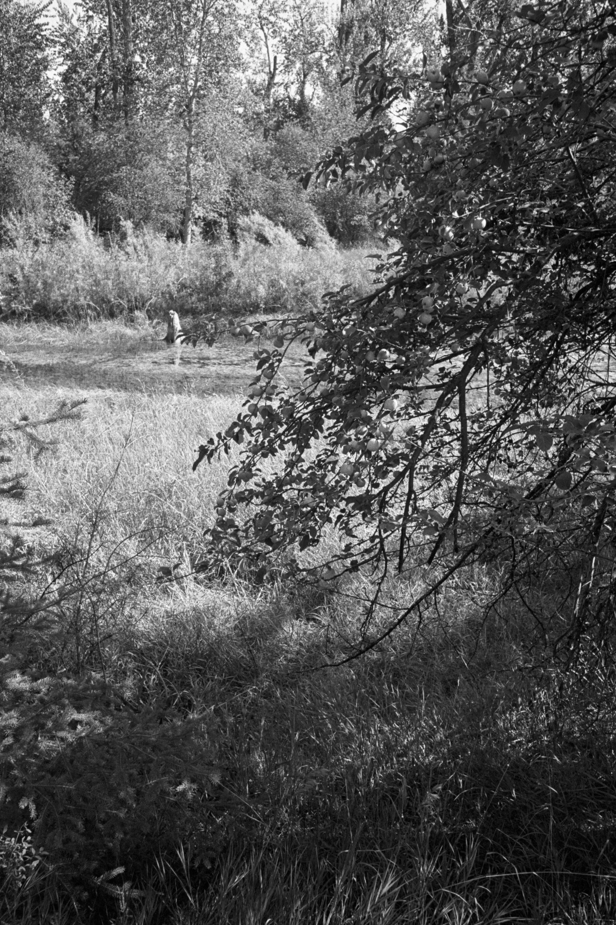 Reminiscence and reflection: summer walking and embracing 28mm ...