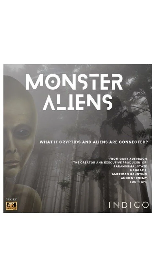 Programming — Indigo Entertainment