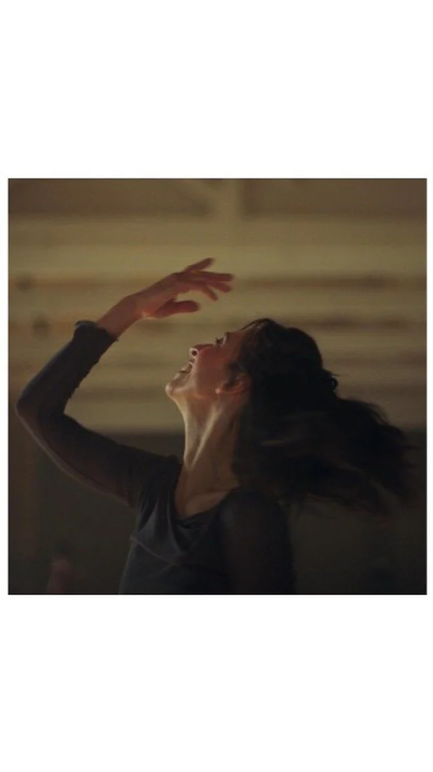 Programming — Indigo Entertainment