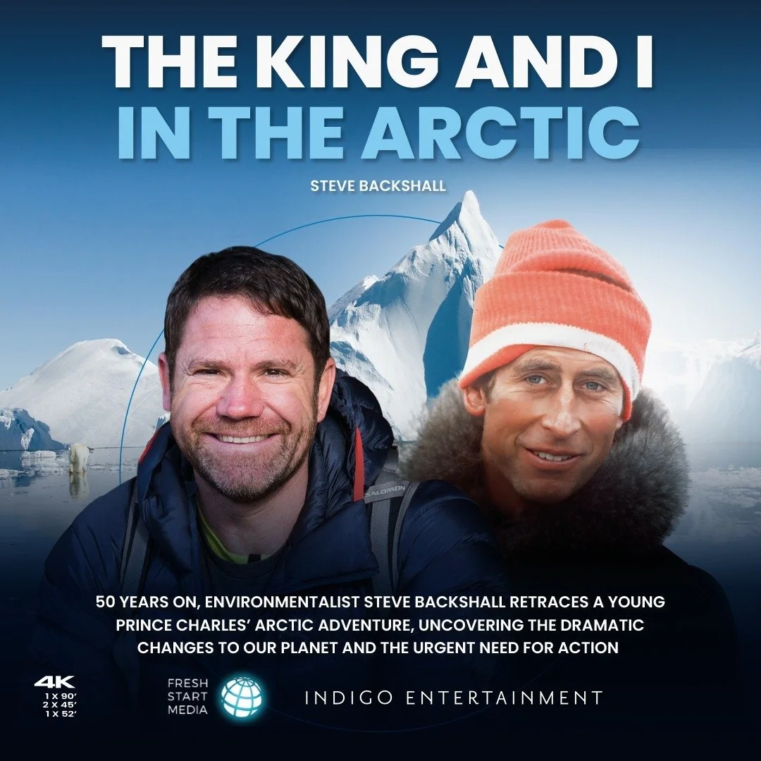 Programming — Indigo Entertainment